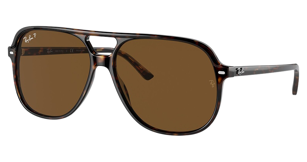 Ray-Ban / RB2198 BILL / HAVANA / POLAR BROWN - Shop Glasses Online ...
